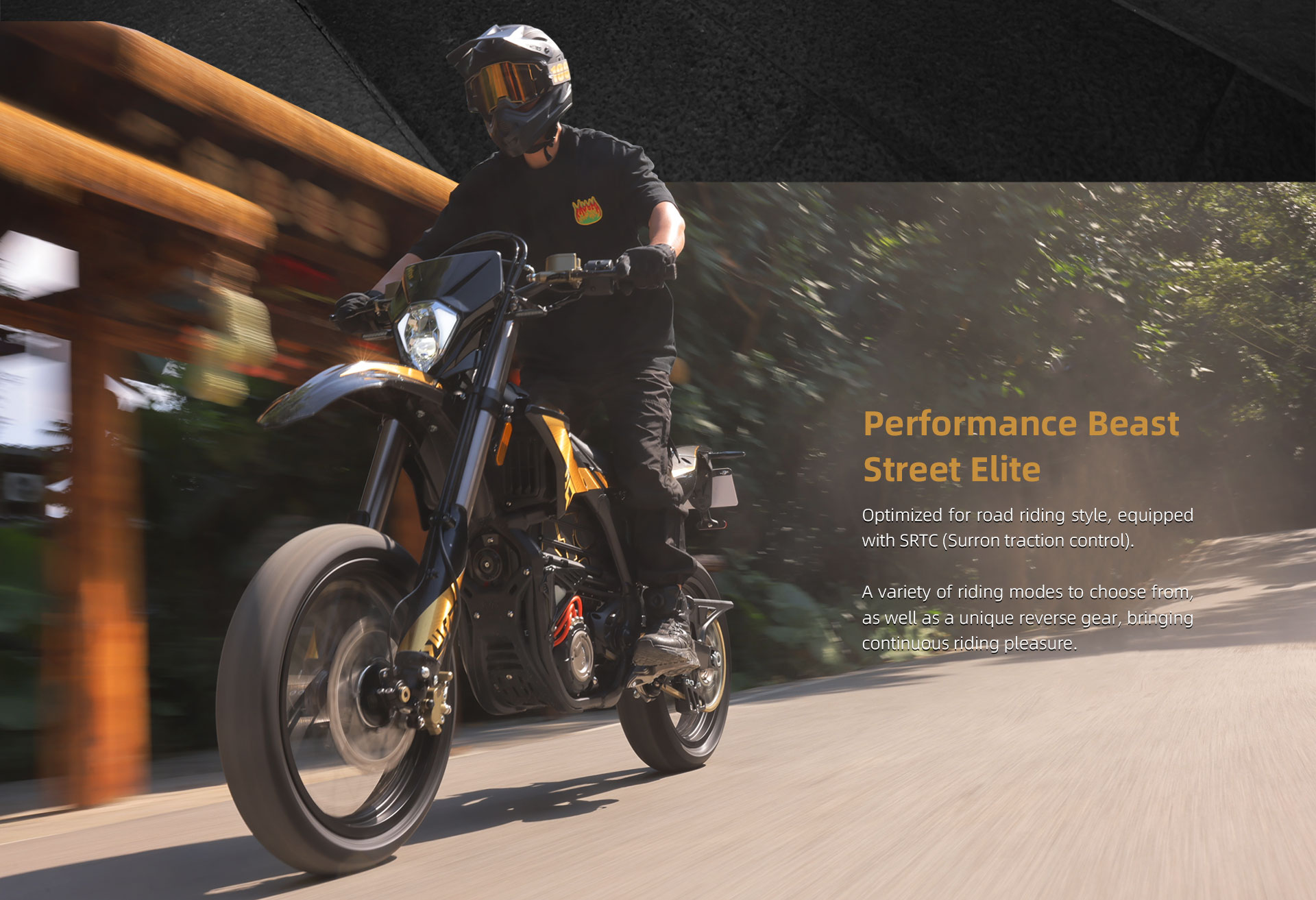 Storm Bee | Surron EU