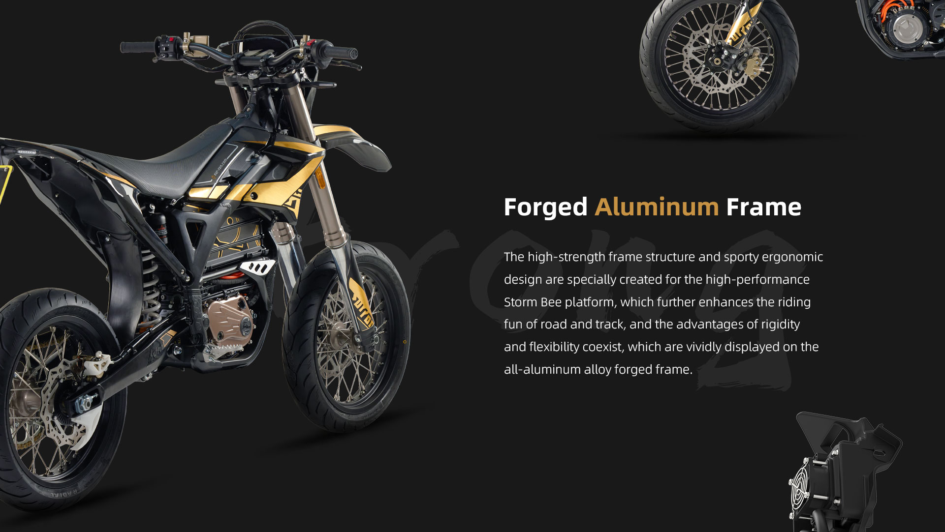 Storm Bee | Surron EU