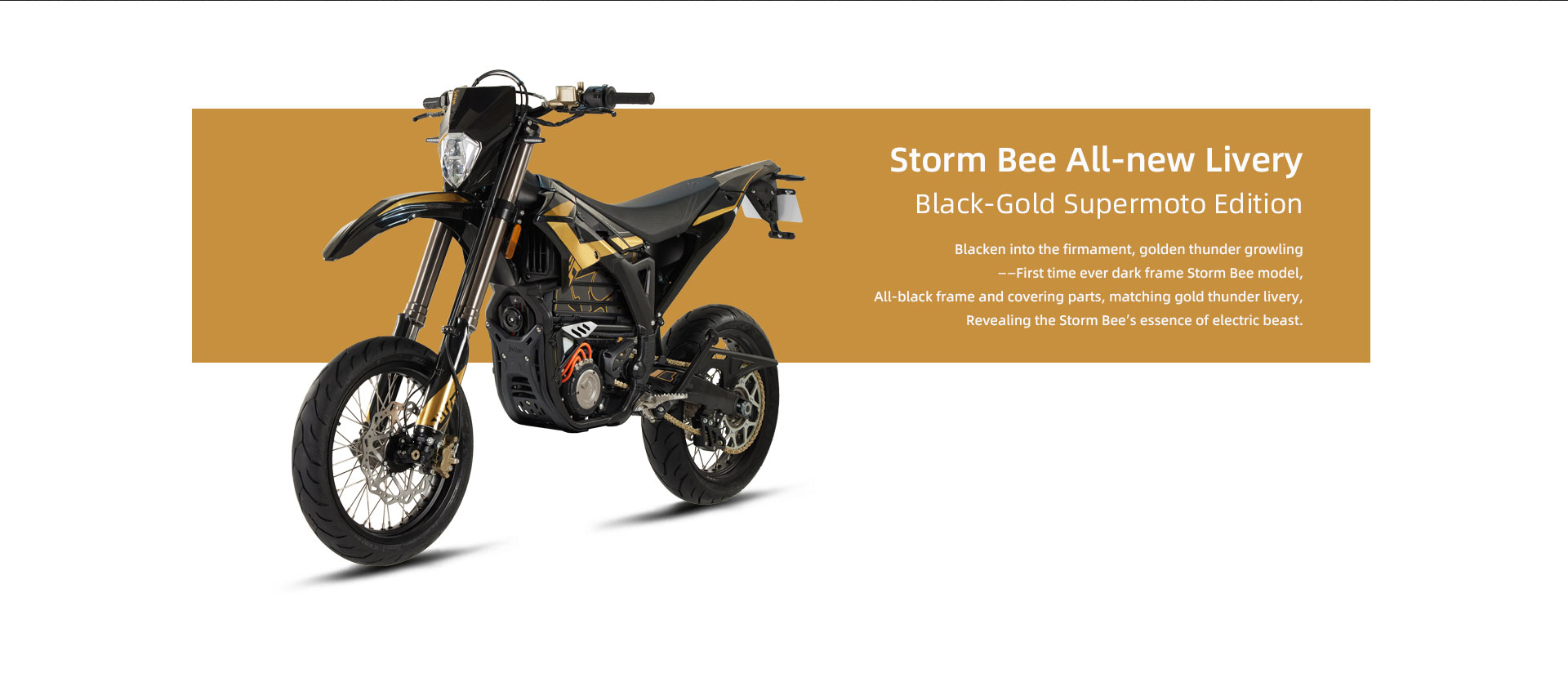 Storm Bee | Surron EU