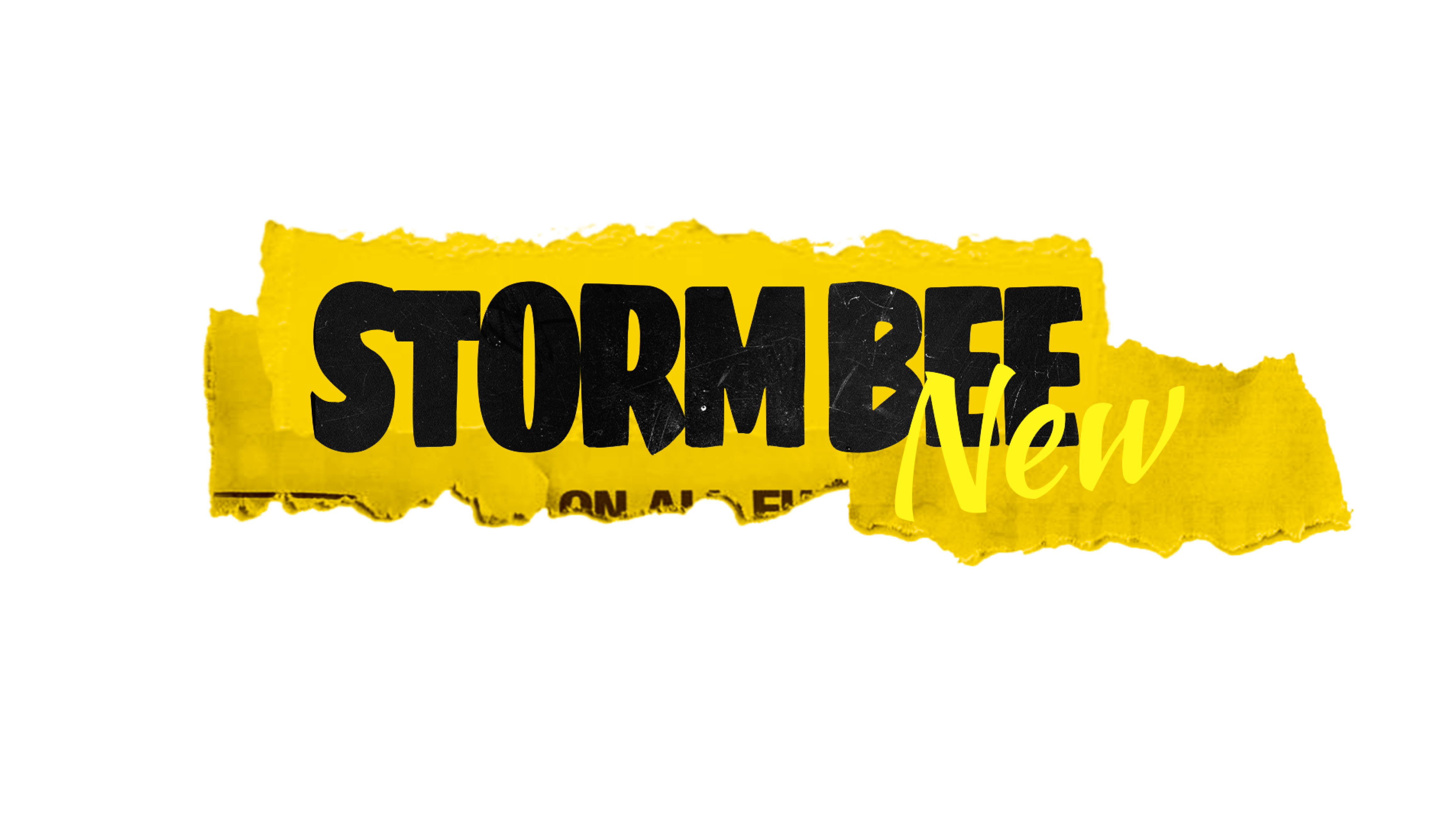 Storm Bee | Surron USA